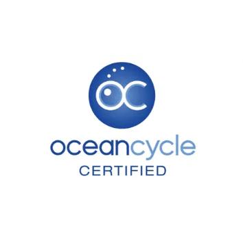 海洋公链ocea