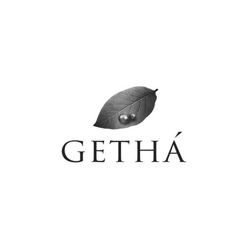 GetinSha截图