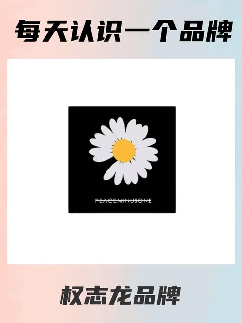 雏菊资讯正式版图标