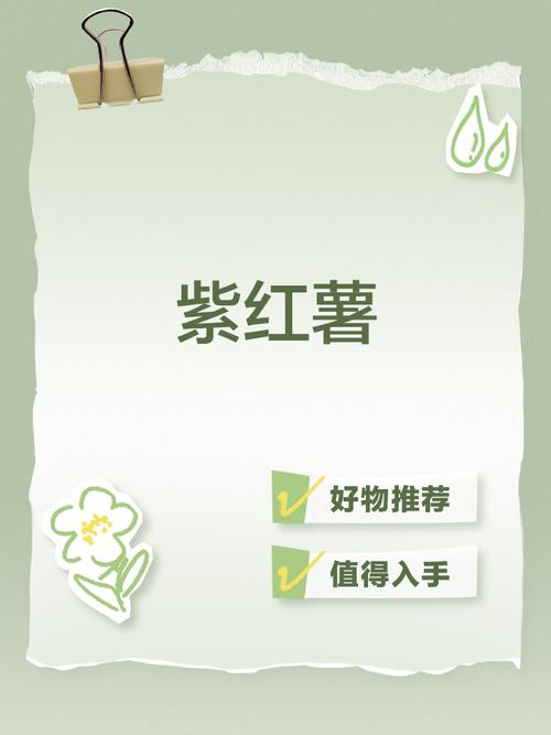 紫薯短视频安卓版