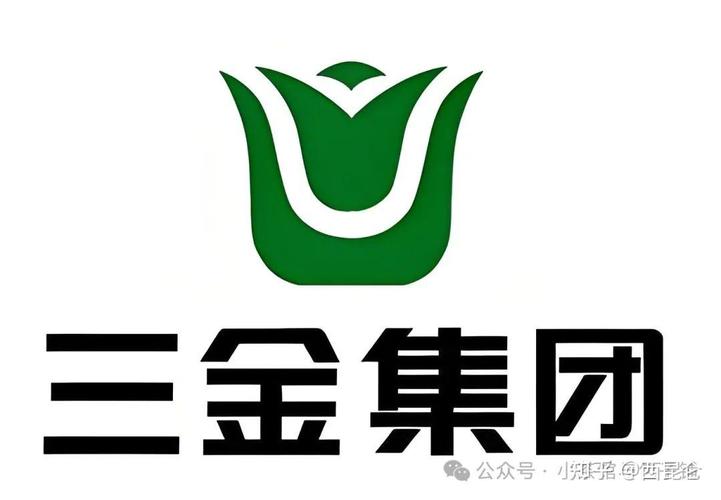 三金本体