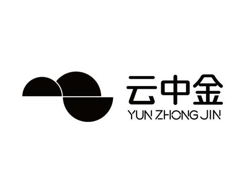 中金云交易中心平图标
