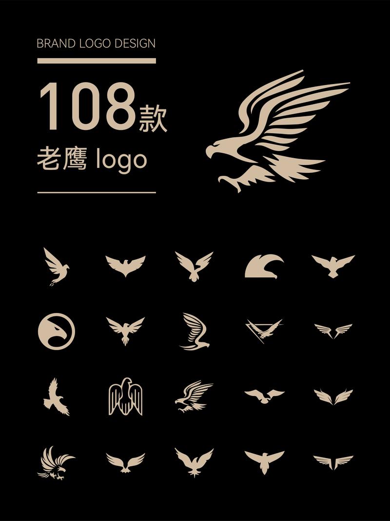 老鹰视频截图