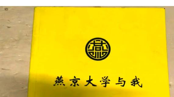 深宫大燕图标