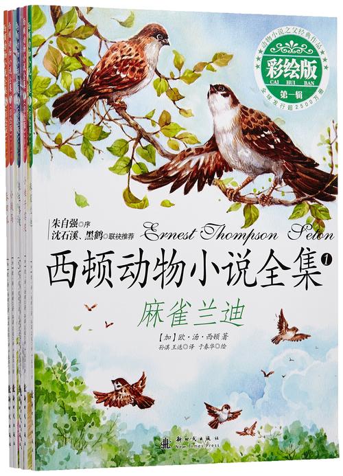 小雀双语阅读