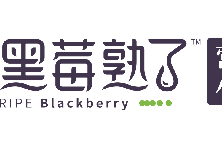 黑莓免费小说截图