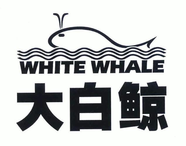 大白鲸网阅读赚钱