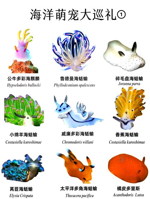 海兔快讯资讯赚钱图标