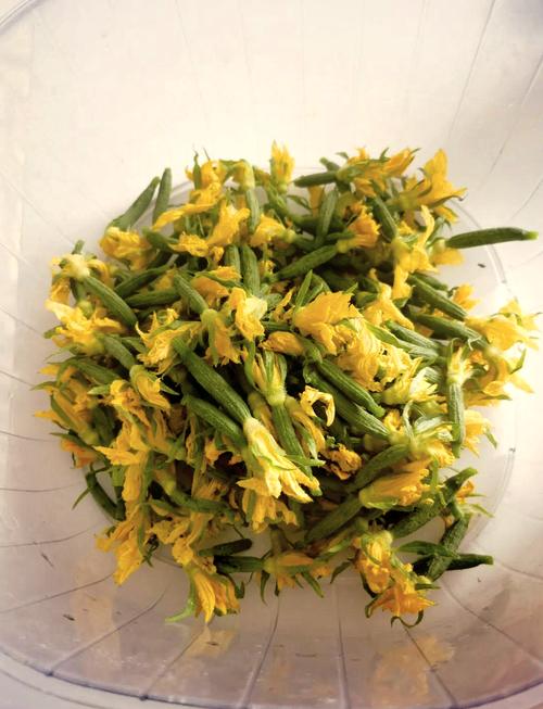 黄瓜花