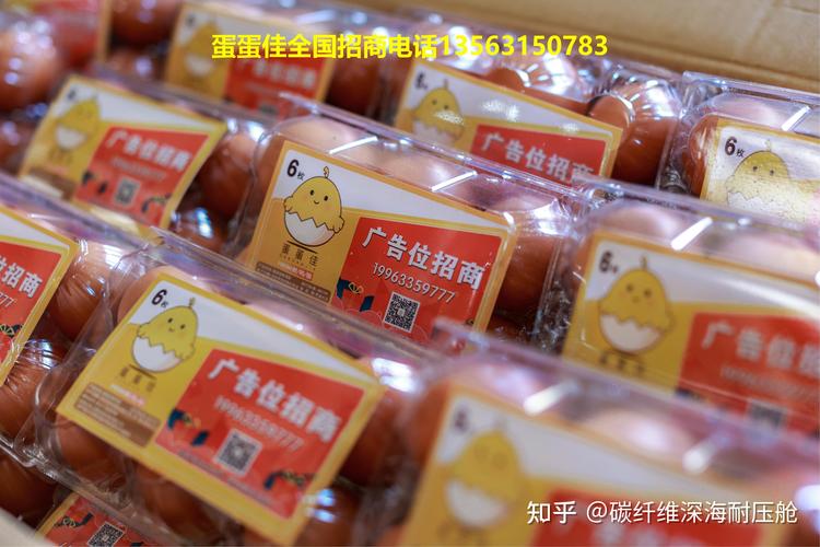 蛋蛋佳v104图标