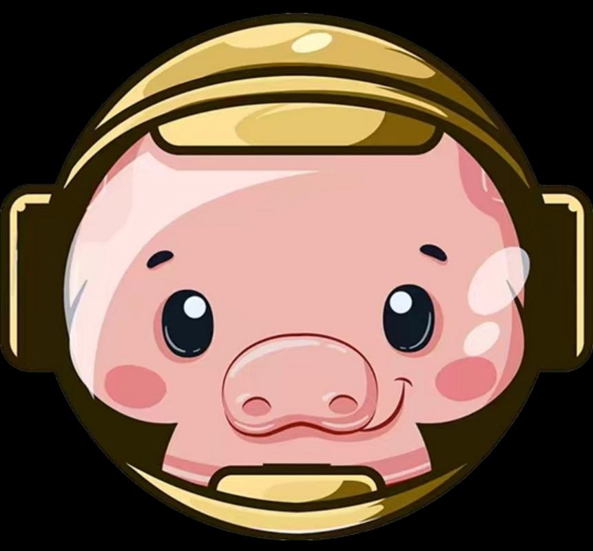 pig币截图
