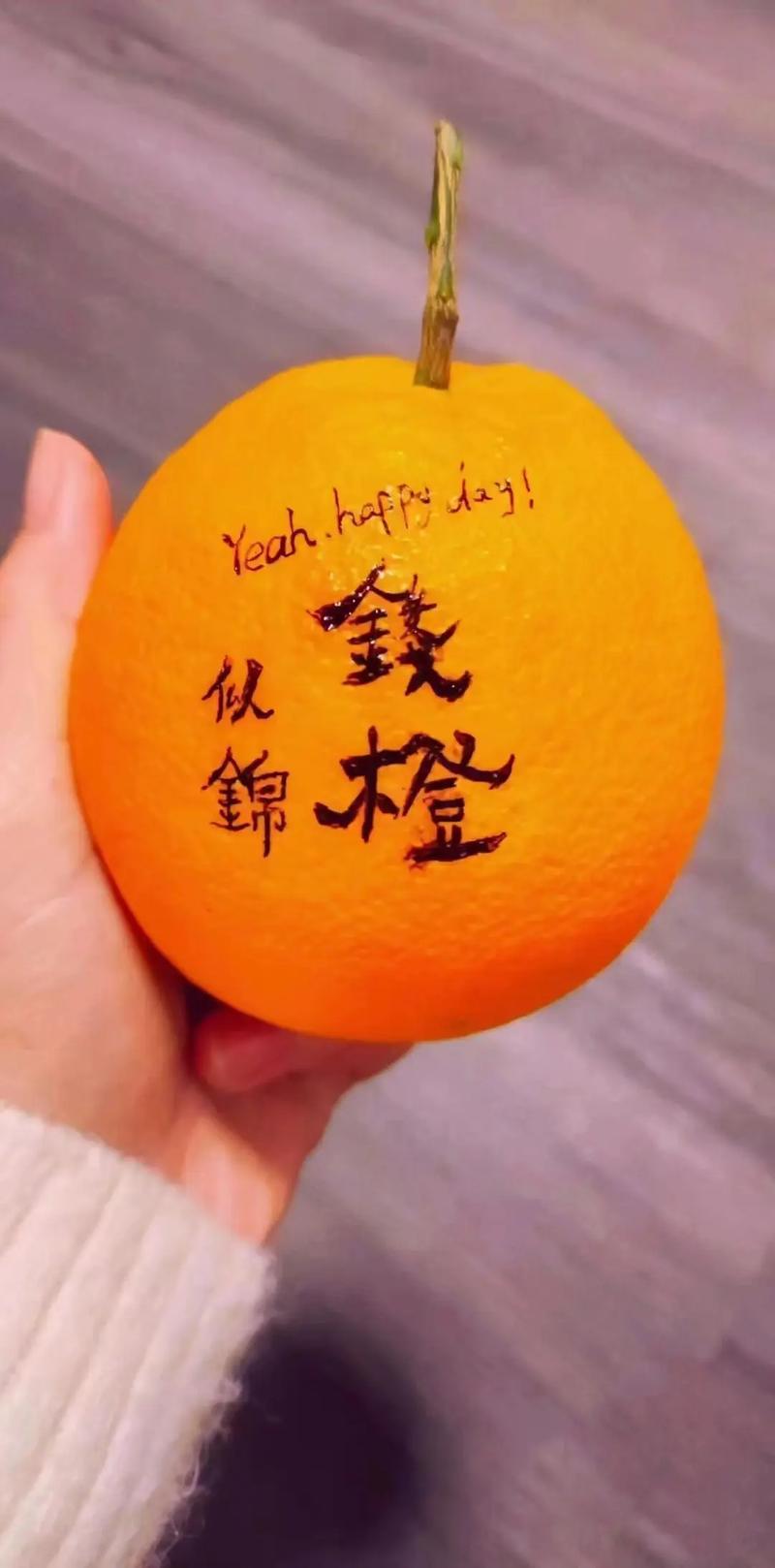 橙赚赚钱版202图标