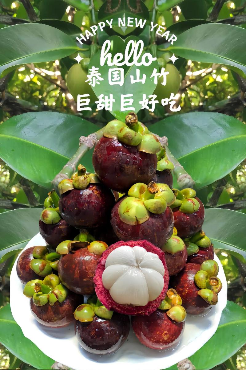 山竹资讯手机版