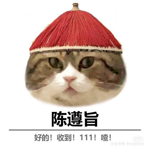 微臣遵旨