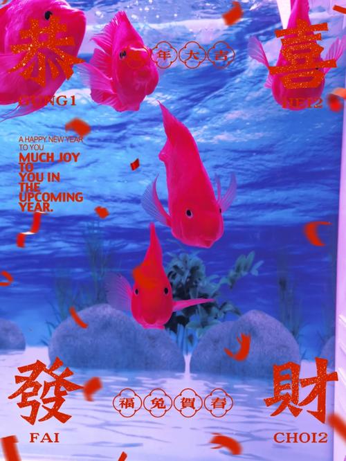 财神鱼官网手机客截图