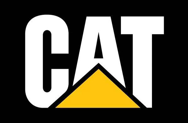 CyberCat截图