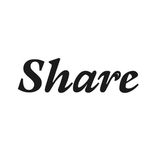 Share国内版图标