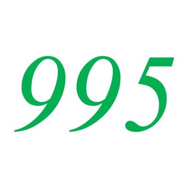 995辅助免费版图标