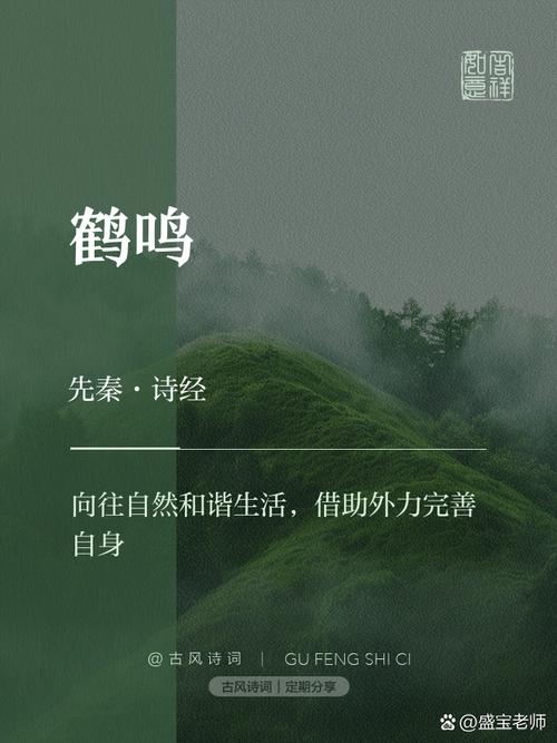 鹤鸣小说免费阅读图标