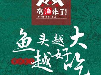 有鱼来了正式版截图