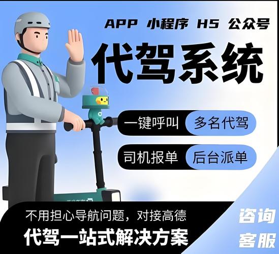 哈喽悟空代驾司机