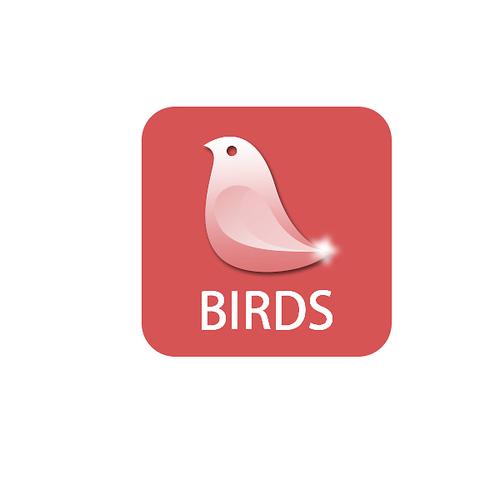 飞鸟影视