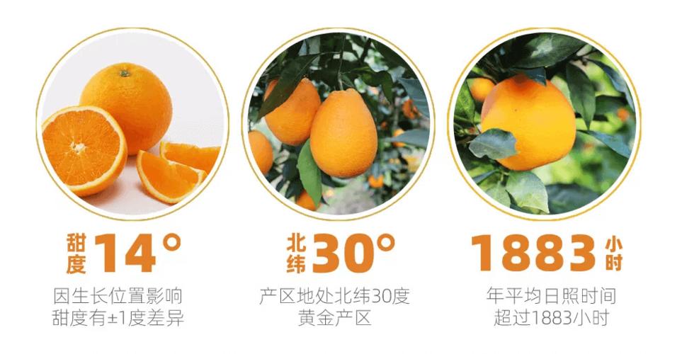 星球果园官方版图标