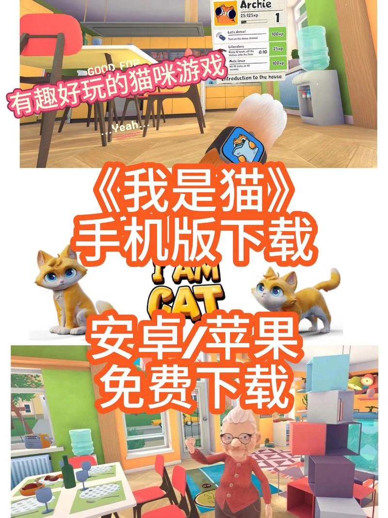 趣玩猫手机版