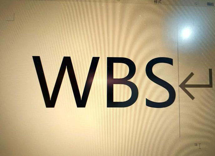 WBS完美全球