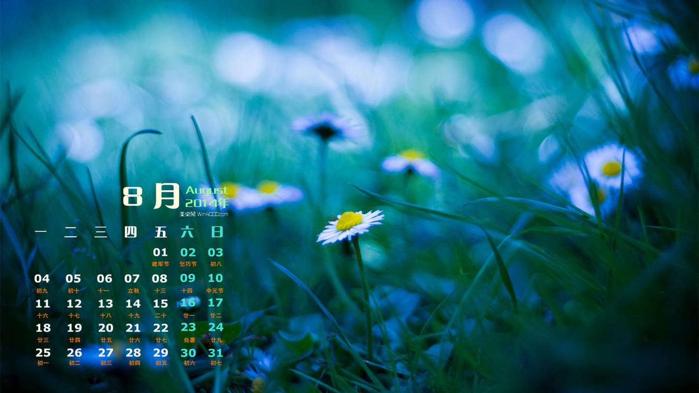 皱菊邀请码