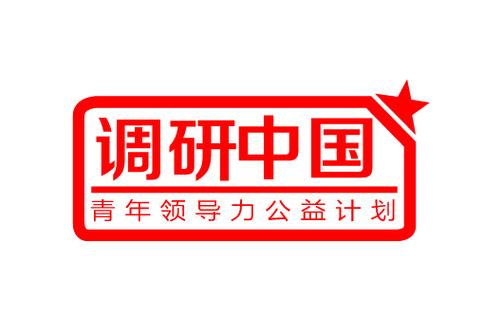 调研中国2016截图