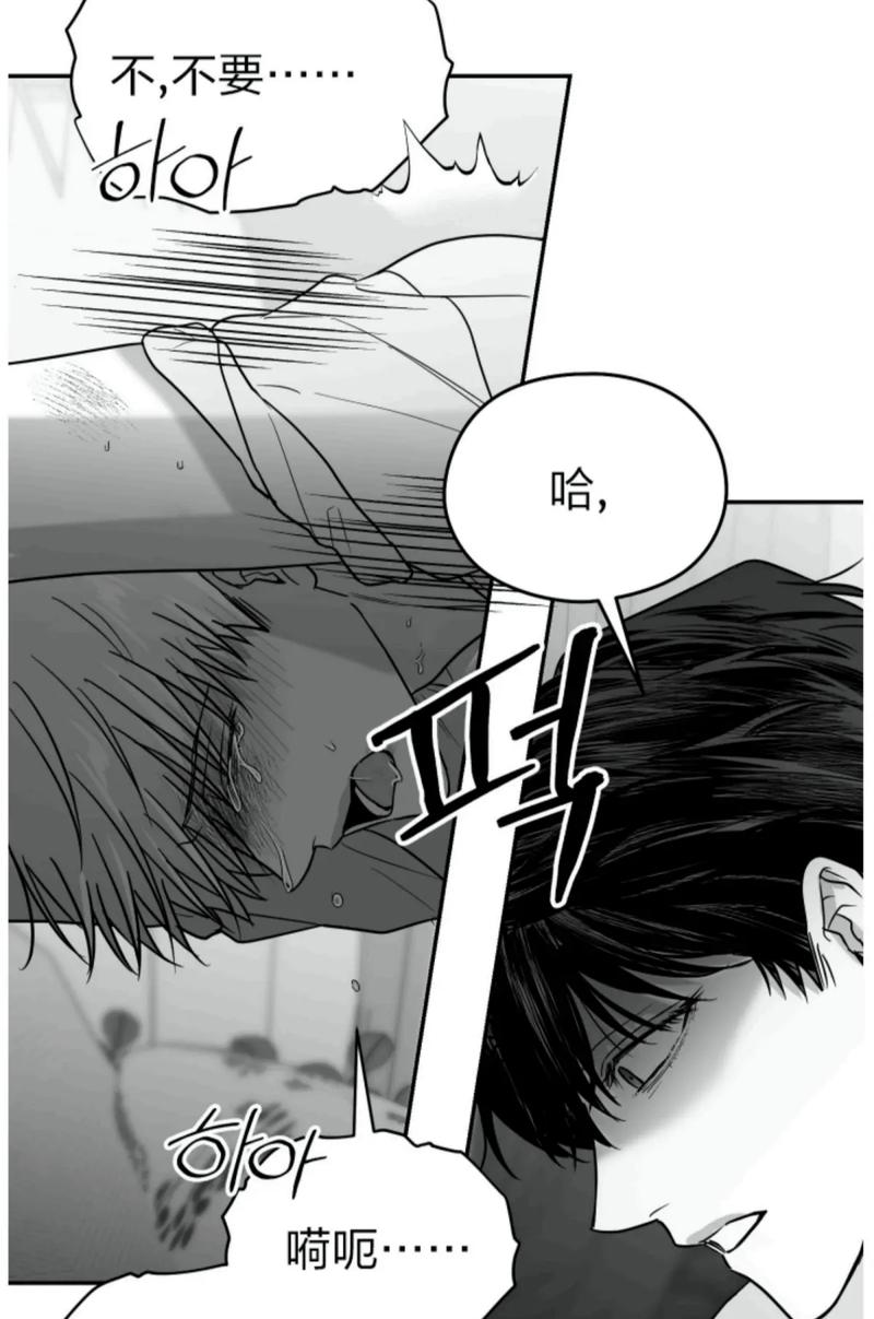 非非漫画免费版