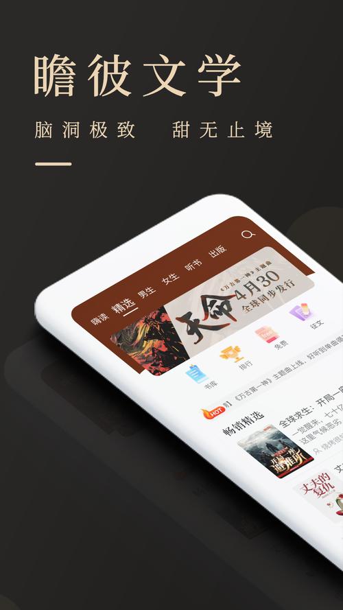 瞻彼文学安装