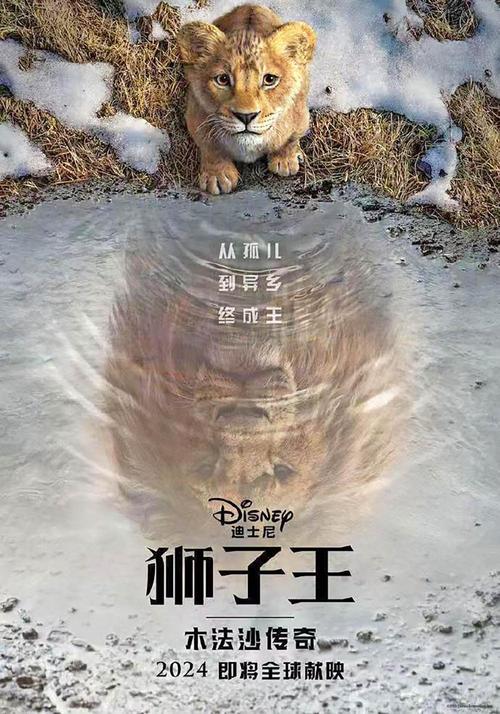 狮王白银