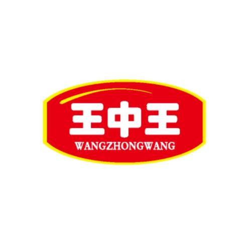 王中王正版免费综图标
