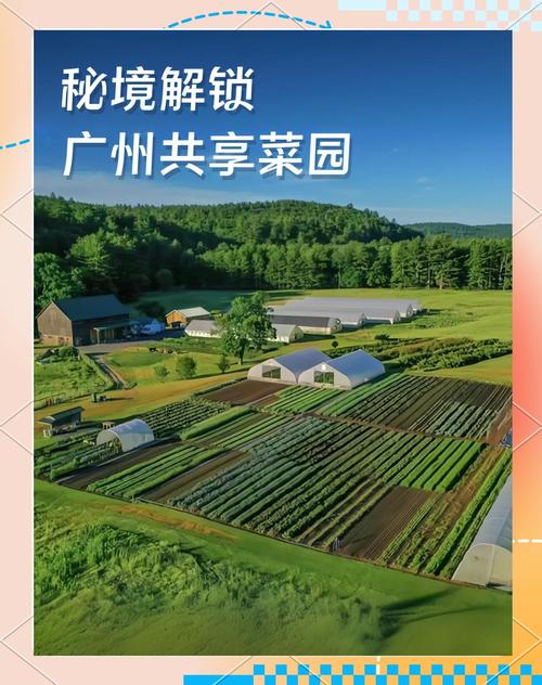 都市农场手机版截图