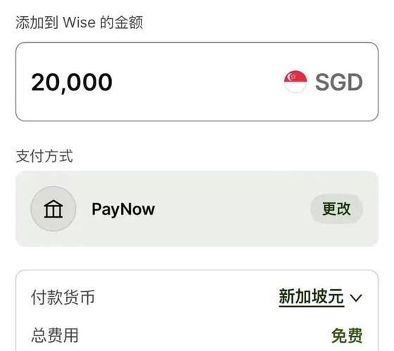 华侨闪付