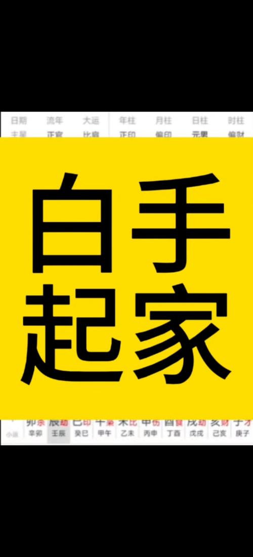 白手起家手机版截图