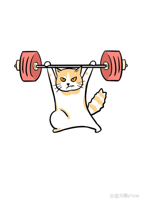 疯狂健身猫最新版