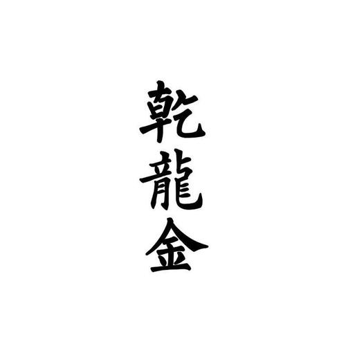 金乾龙图标