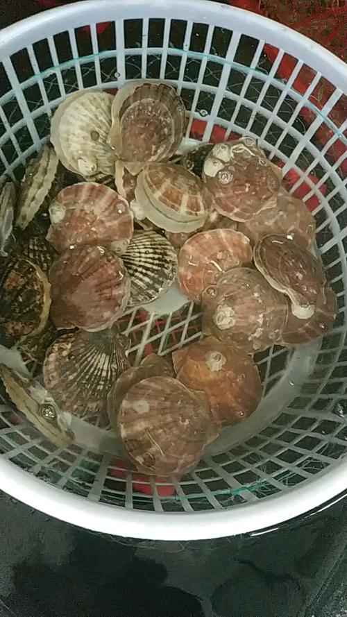 贝壳点赞转发文章