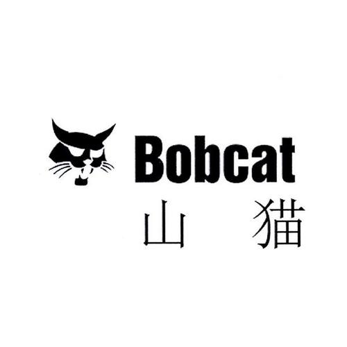 山猫小说图标