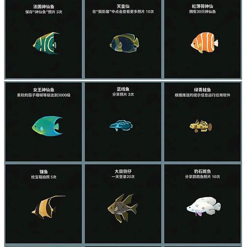 深海水族馆隐藏鱼截图
