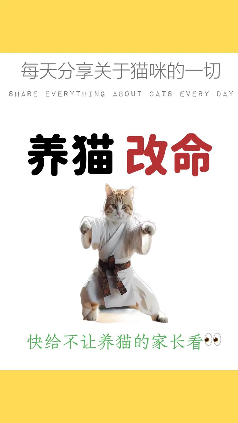 天天养猫猫养猫赚图标