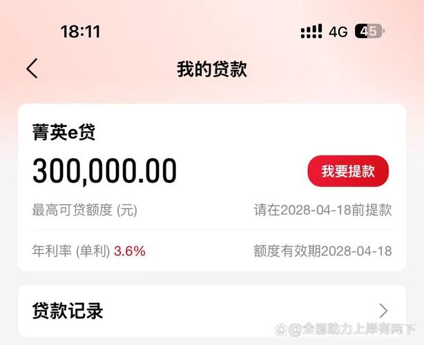 金猪闪贷