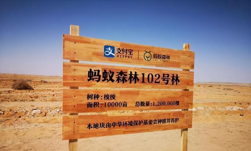 支付宝蚂蚁森林保图标