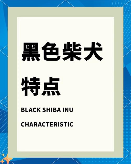 黑柴兼职app图标