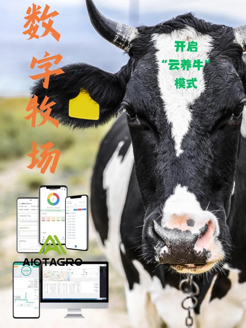 空中养牛app