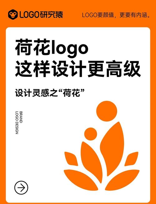 荷花热点赚钱图标