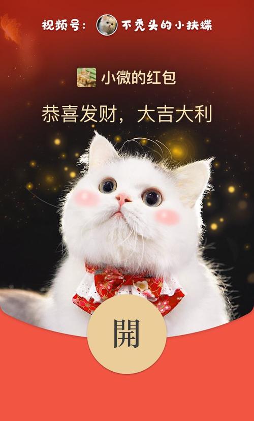 养只猫领红包版截图